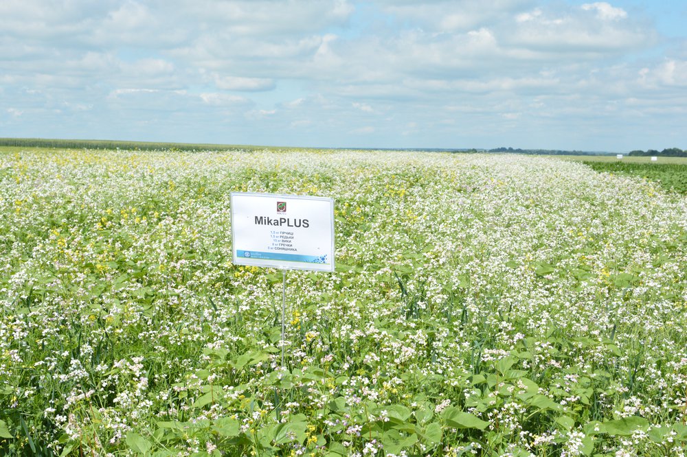 МікаПЛЮС – Soufflet Agro